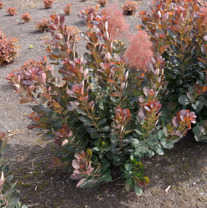 Nouveautés 2022 / 2023